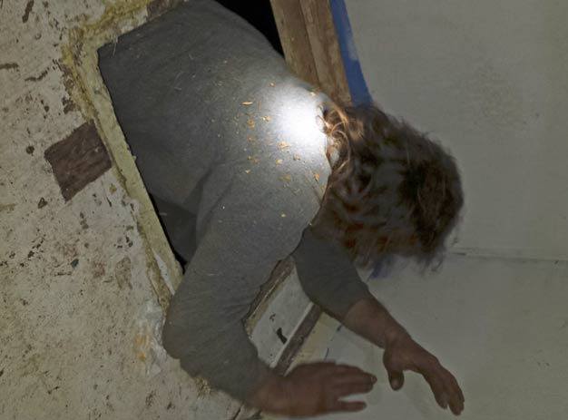 Detectives find fugitive from Auburn hiding under house in Kent | Kent ...