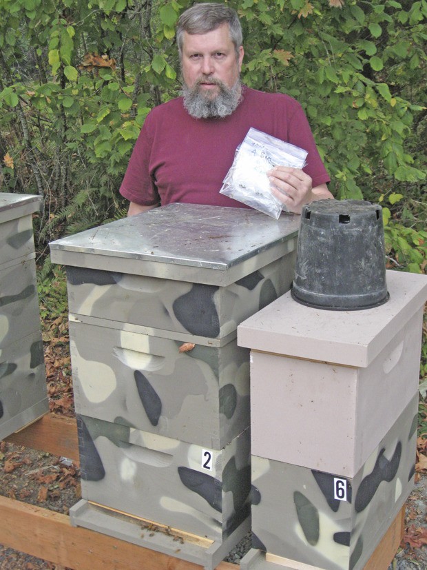 Kent man creates buzz with discovery of 'zombie bees' | Kent Reporter