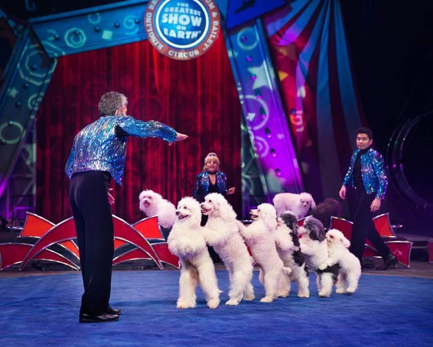 Circus coming to Kent's ShoWare Center this fall | Kent Reporter