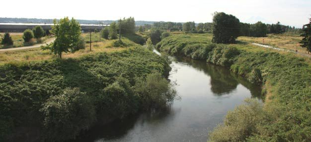 King County flood control board approves Green River levee funds | Kent ...