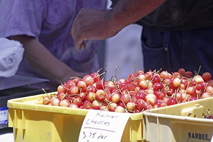 Kent Farmers Market opens Saturday | Kent Reporter