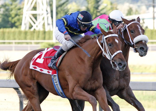 Talk to My Lawyer, a filly, wins the Gottstein Futurity | Emerald Downs ...