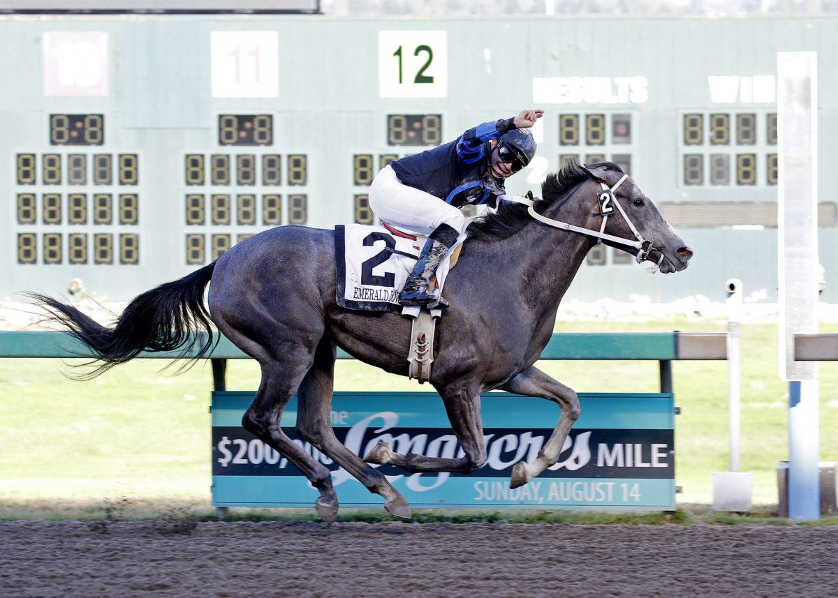 Blazinbeauty turns back So Lucky in season-ending Gottstein Futurity ...
