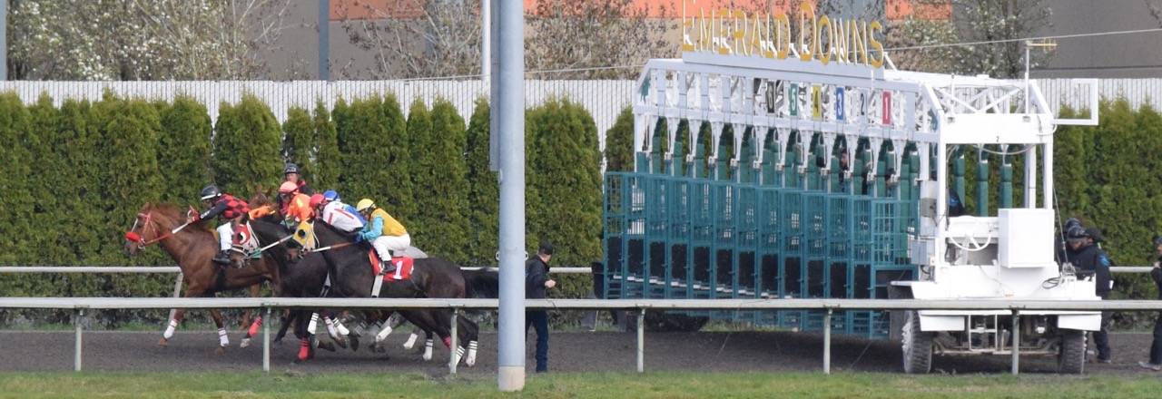 Off and running: Emerald Downs opens new season | PHOTOS | Kent Reporter