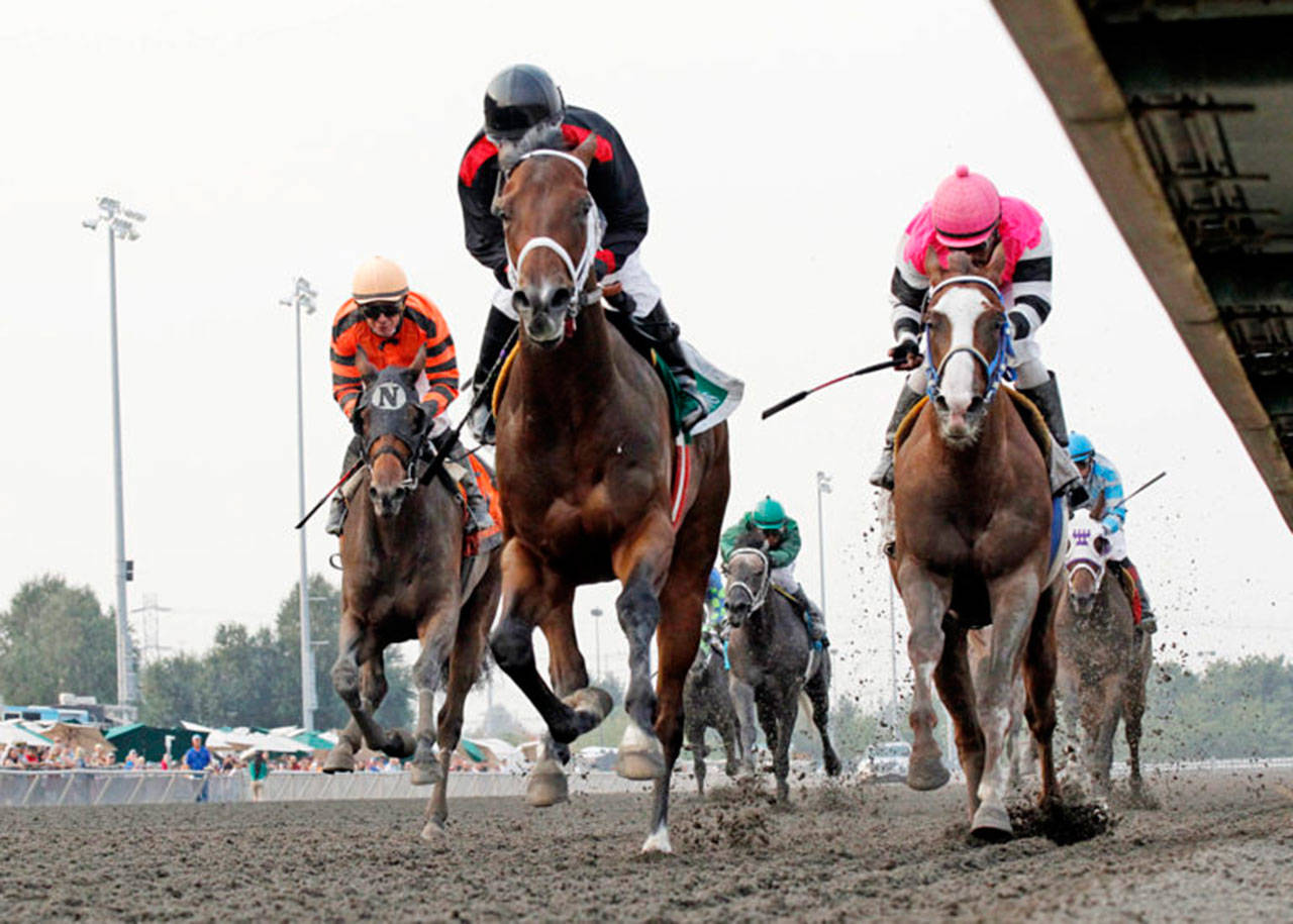 $65,000 Joe Gottstein Futurity caps season | Emerald Downs | Kent Reporter