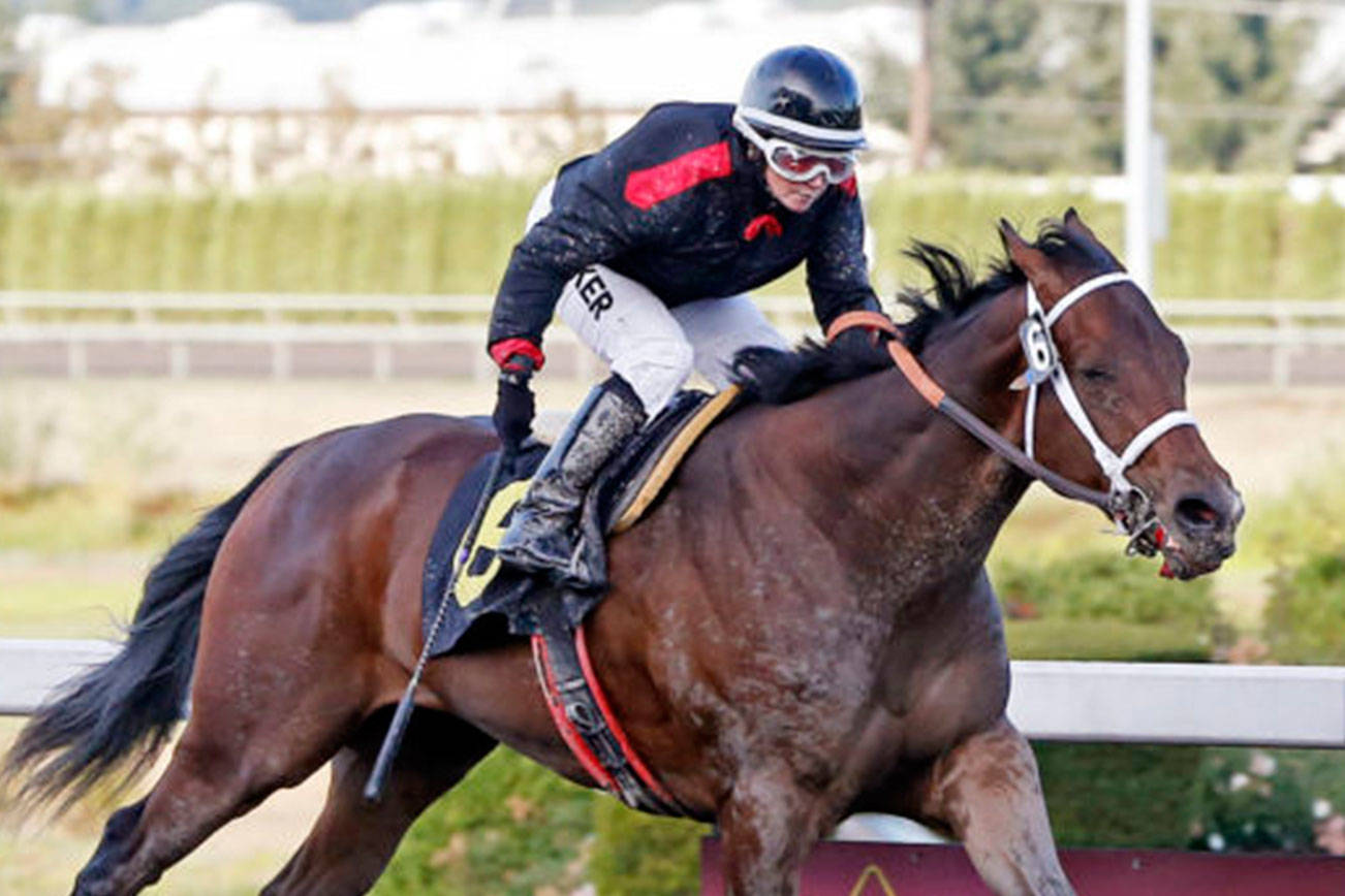 Elliott Bay prevails in closing-day Gottstein | Emerald Downs | Kent ...