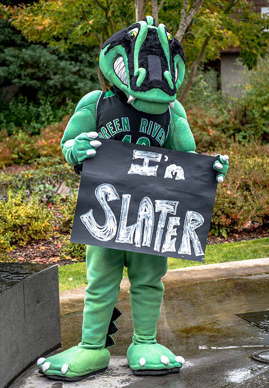 Slater the Gator ready to roam as new mascot at Green River College ...