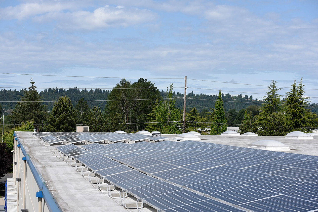 Northwest Harvest receives new solar panels | Kent Reporter