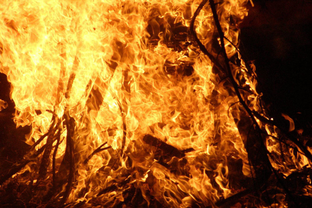 Reducing wildfire risk imperative | Brunell | Kent Reporter