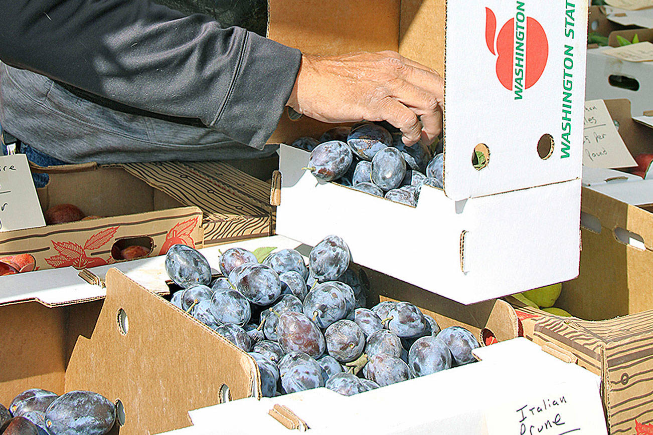 Kent Farmers Market opens Saturday, June 1 | Kent Reporter