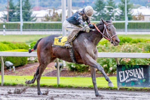 Race Home captures Gottstein Futurity on closing day | Kent Reporter