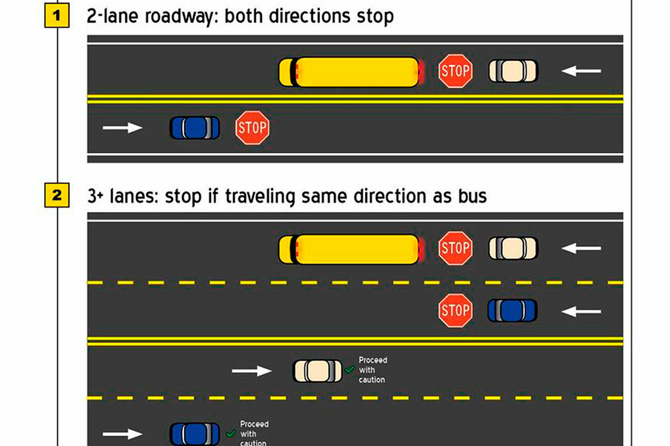 School bus rules when red lights are flashing | Kent schools start ...