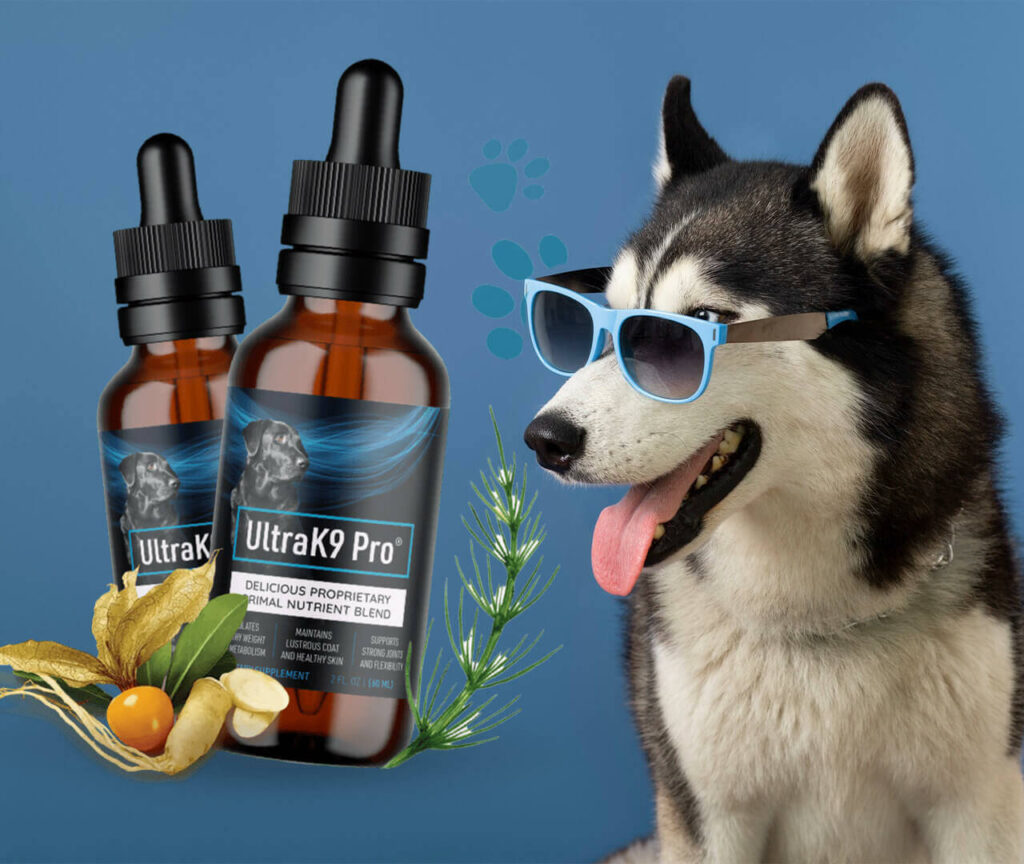 Ultra K9 Pro Reviews for Dogs [The 7 Undeniable Facts] | Kent Reporter