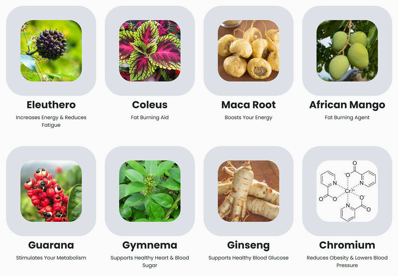 Why Sugar Defender Is the Best Blood Sugar Stability Pick in 2024 ...