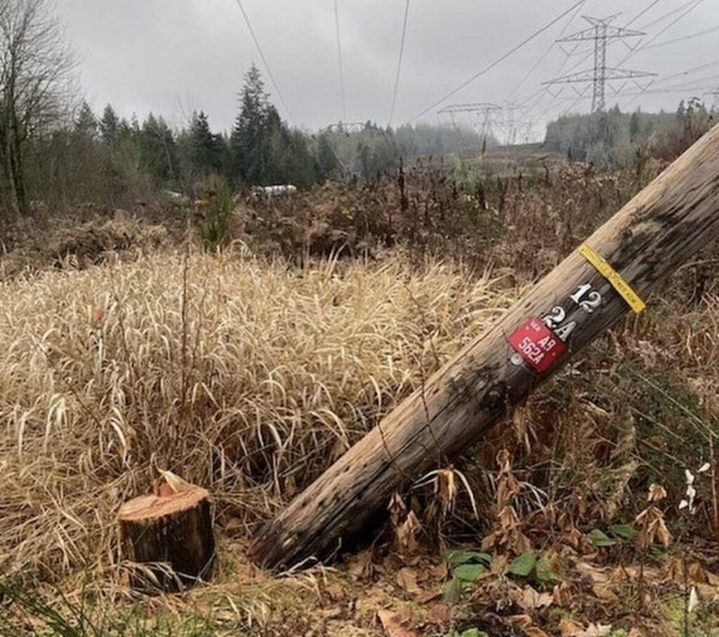 Vandals damage electricity infrastructure in South King County | Kent ...