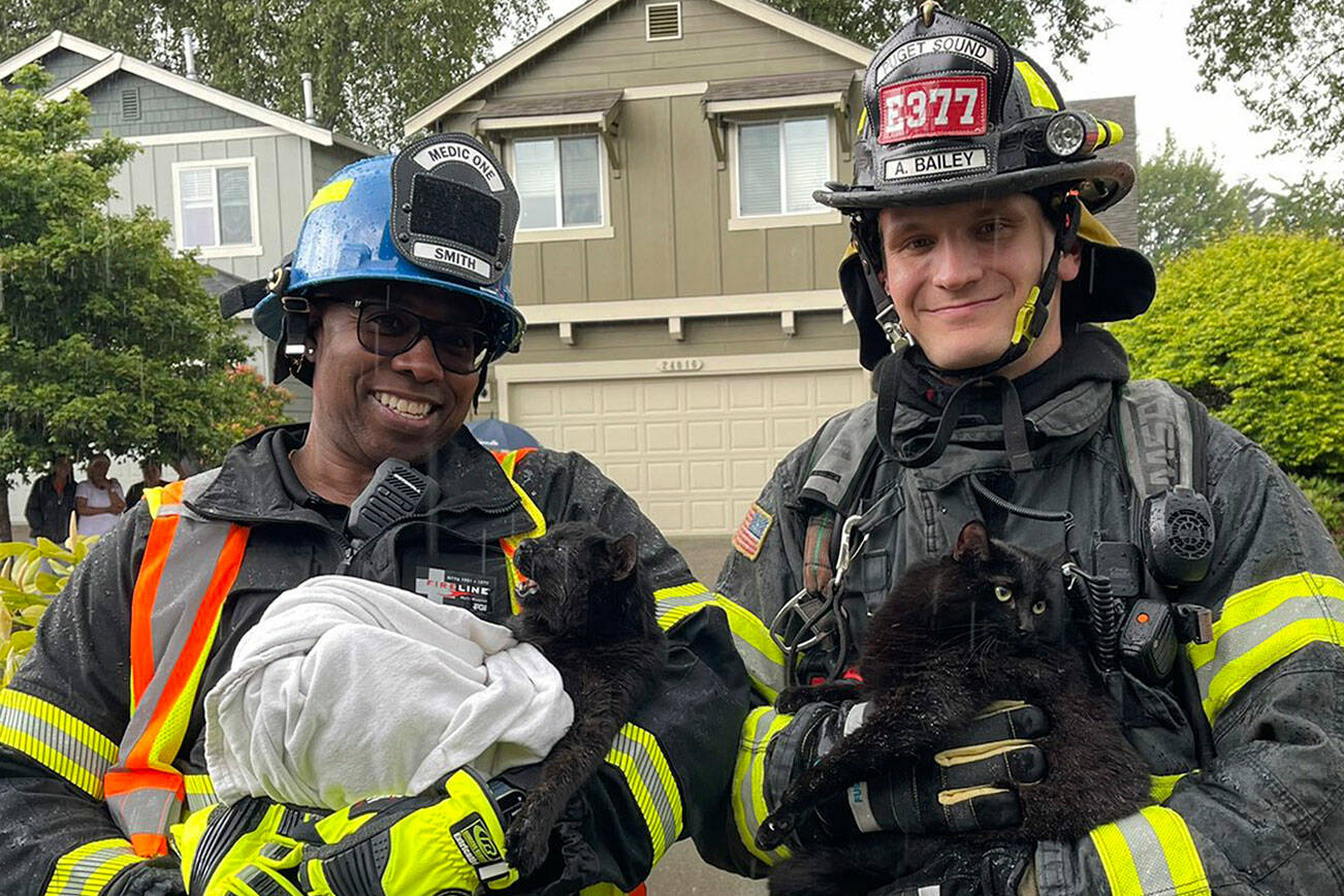 Firefighters extinguish Kent house fire; rescue two dogs, two cats ...