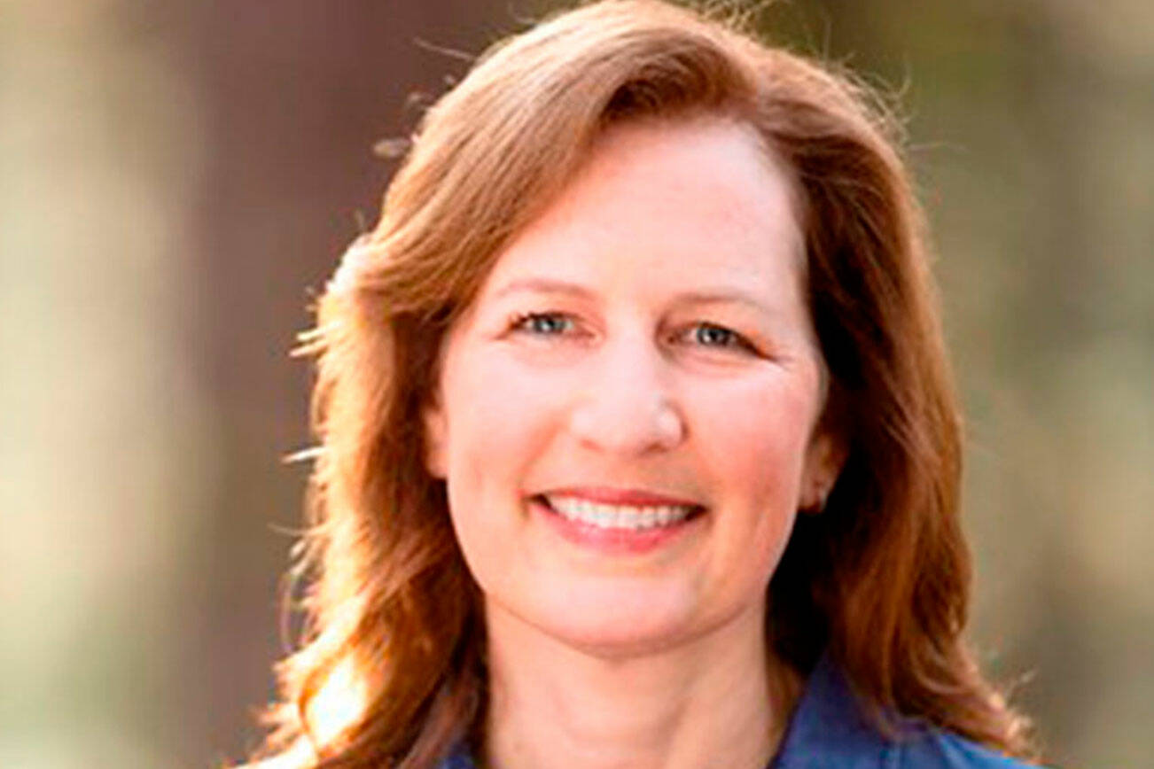 Congressional District 8 incumbent Schrier to face Goers in November ...