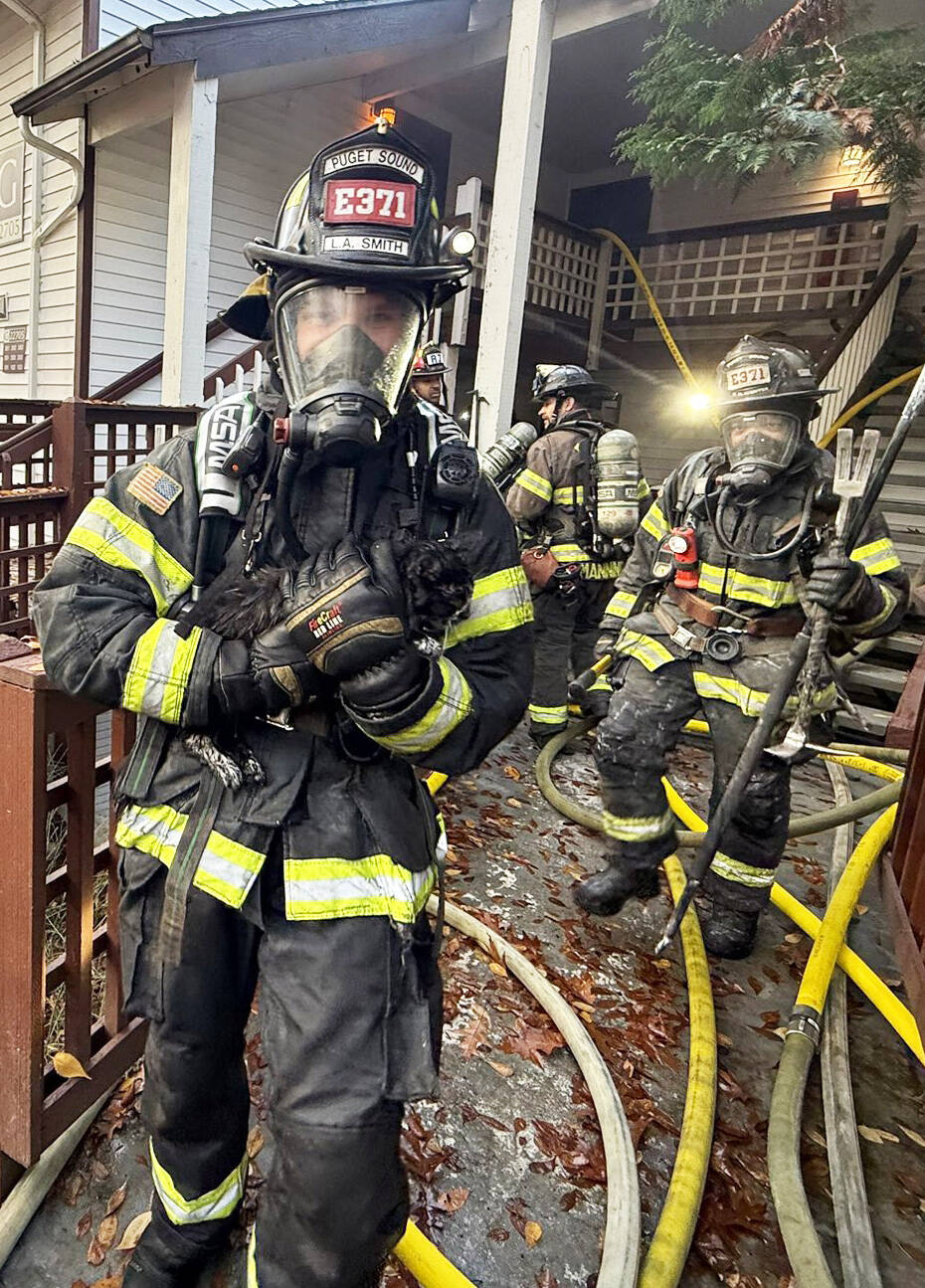 Firefighters rescue cat from Kent apartment fire | Kent Reporter