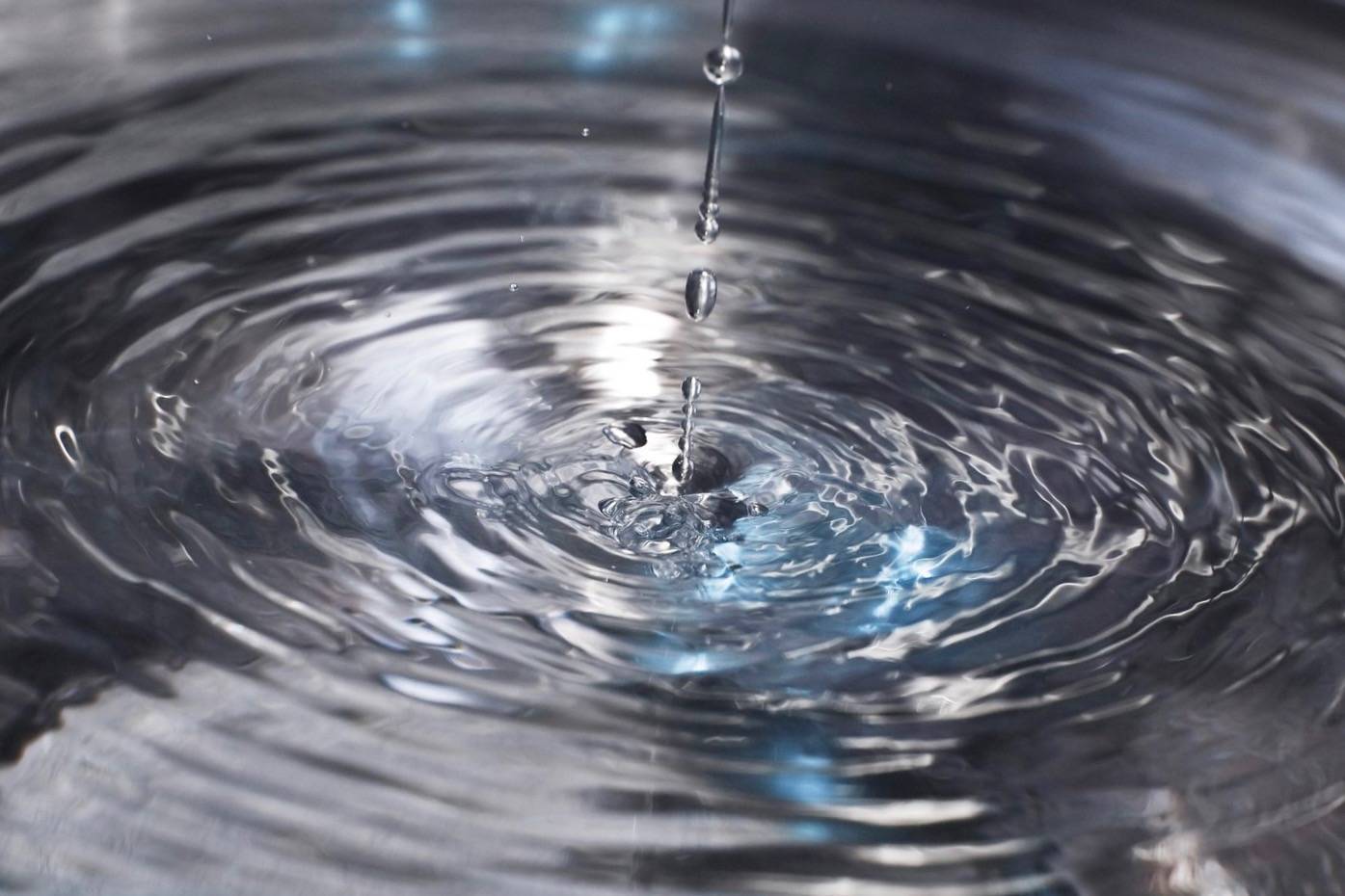 State, feds splash and clash over Washington’s water quality | Kent ...