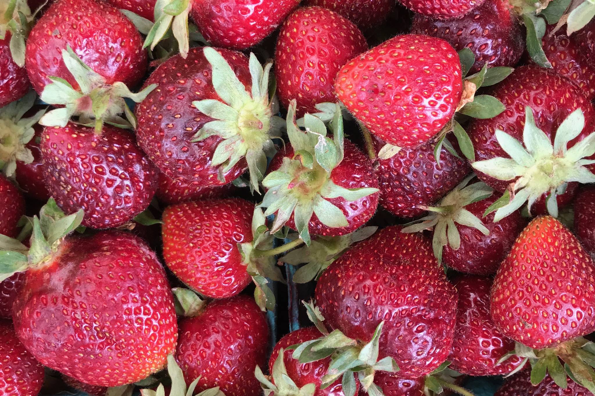 Berry good | Kent Reporter