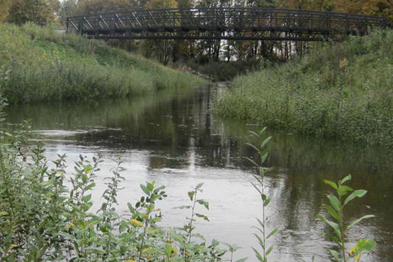 Kent City Council approves land swaps for Green River levee work | Kent ...