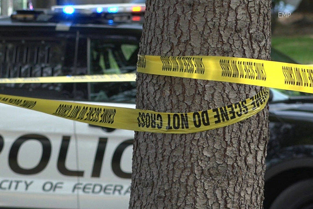 Man sentenced in Federal Way rock throwing death | Kent Reporter
