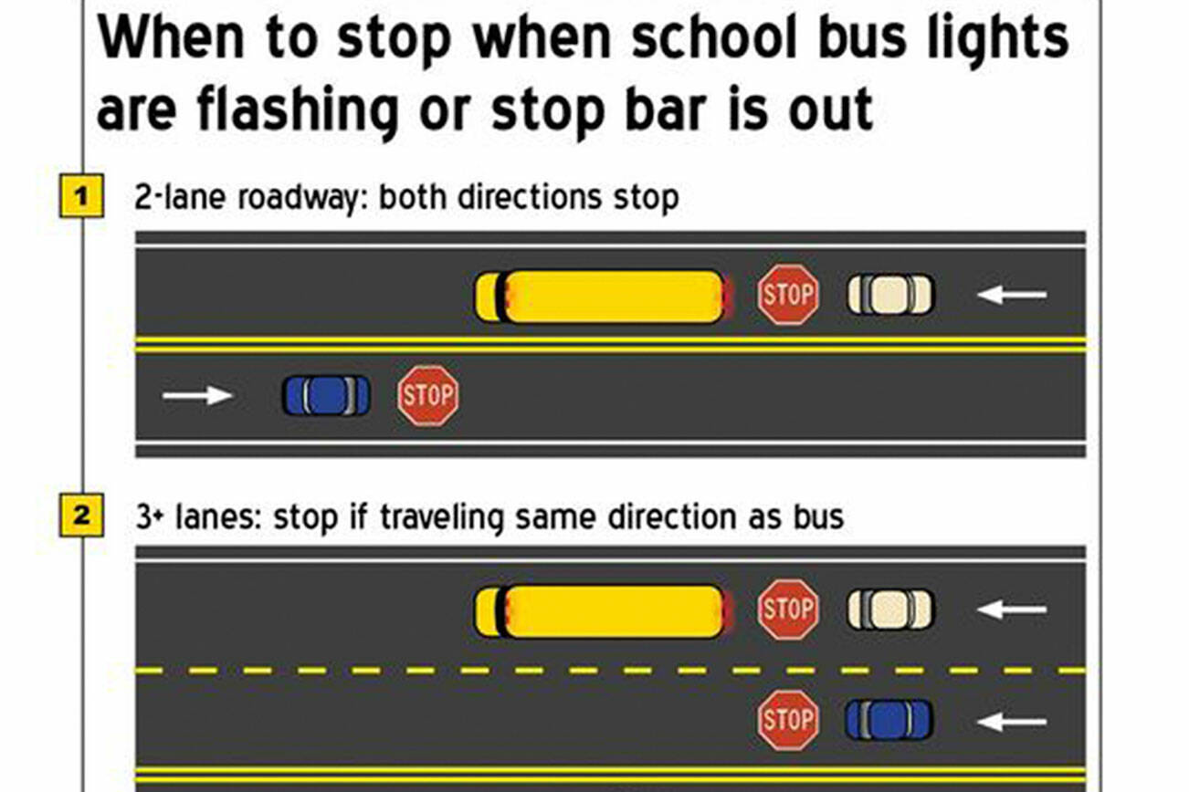 Reminder of when drivers should stop or not stop for school buses ...